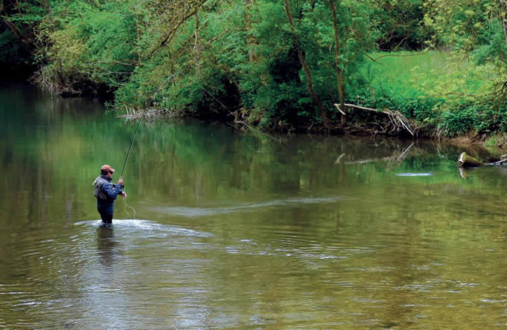 Où pêcher ? Le Rognon sort de l’ombre ! – Pêches sportives