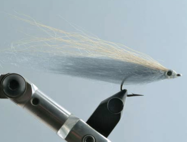 P’tit Fretin – Pêches sportives