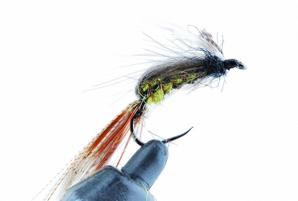Sedge émergent - Pêches sportives
