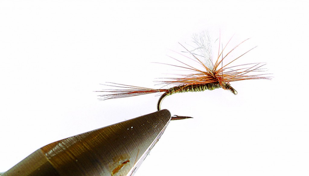 Z-Lon parachute – Pêches sportives