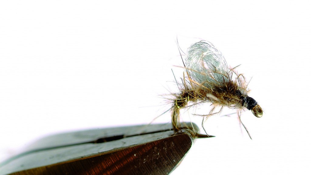 Oreille Z-Lon loop – Pêches sportives